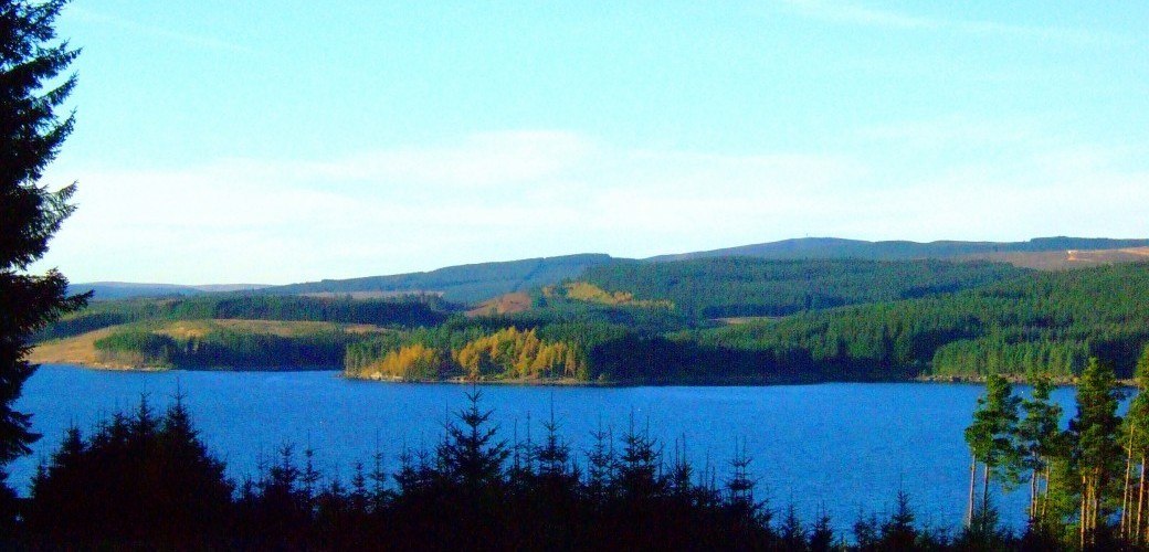 About Kielder Forest